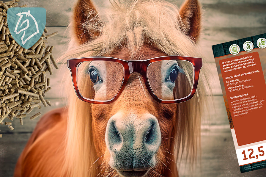 Naturlig fodring af heste – hvilke egenskaber har dit foder? | Nordic Horse