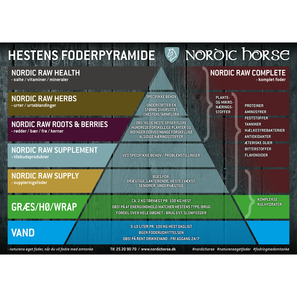 Hestens Foderpyramide Plakat - nordichorse.dk - Nordichorse
